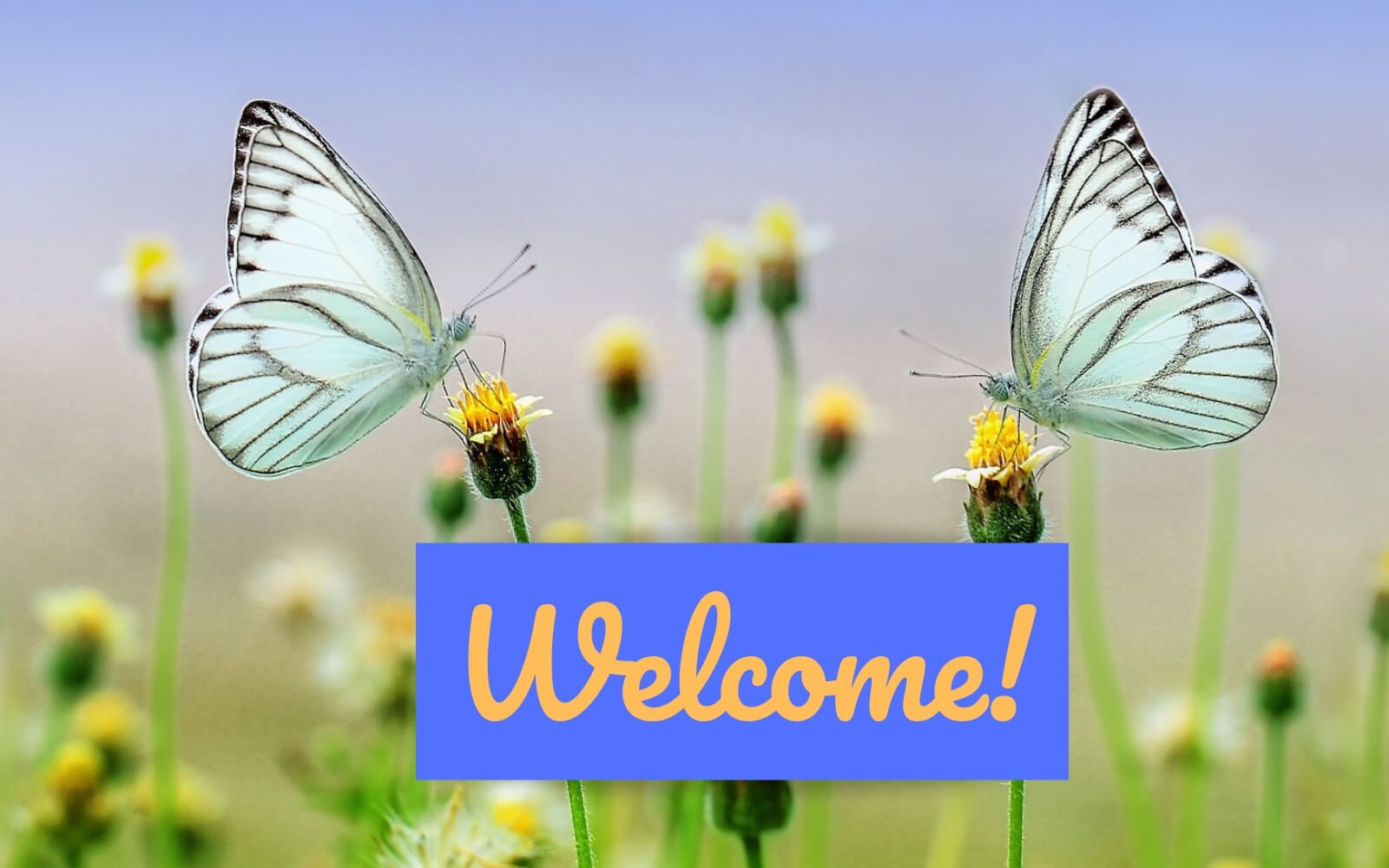 WELCOME - Thyroid Nutrition Educators