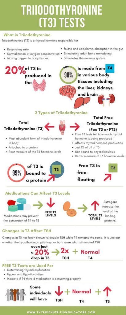 Optimal Thyroid Levels Assess Thyroid Health Thyroid Nutrition Educators